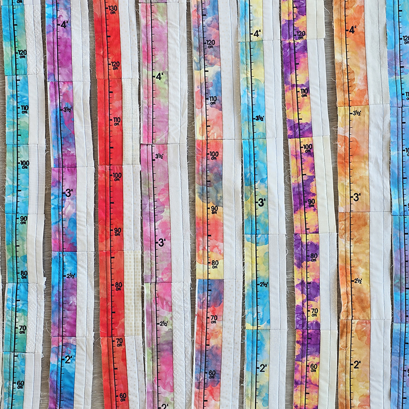 Growth Chart Borders ITH Design