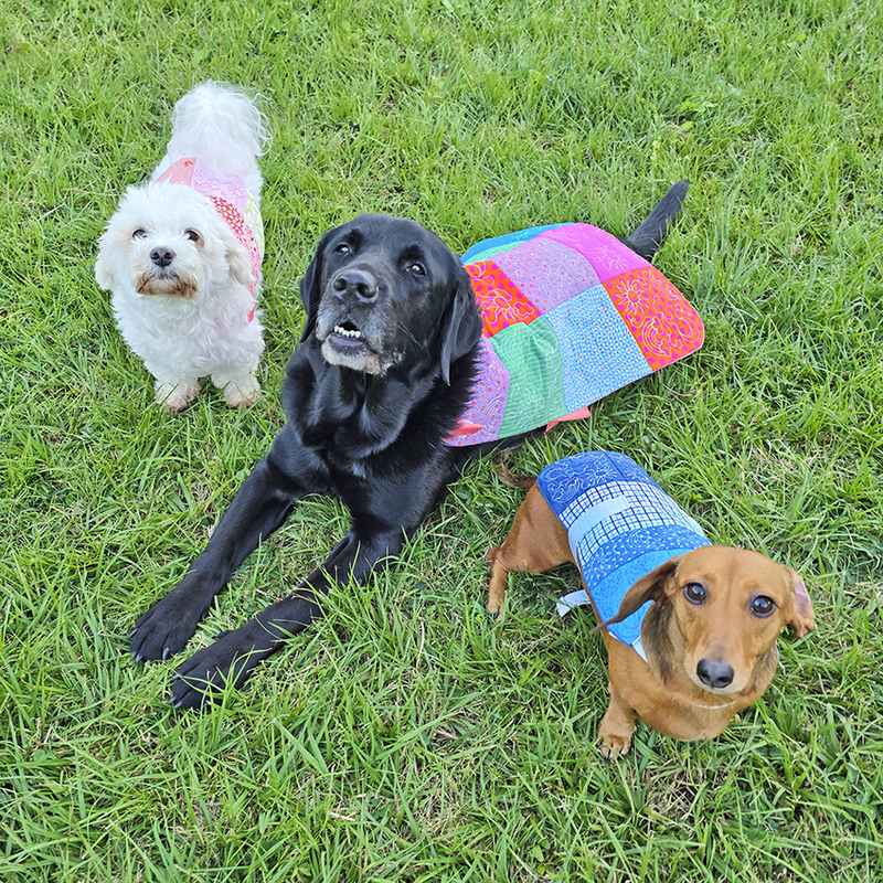 Dog or Cat ITH Pet Jacket Design