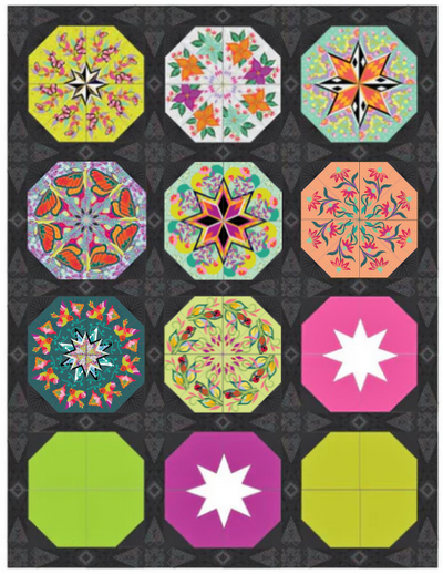 Block of the Month Mystery Quilt