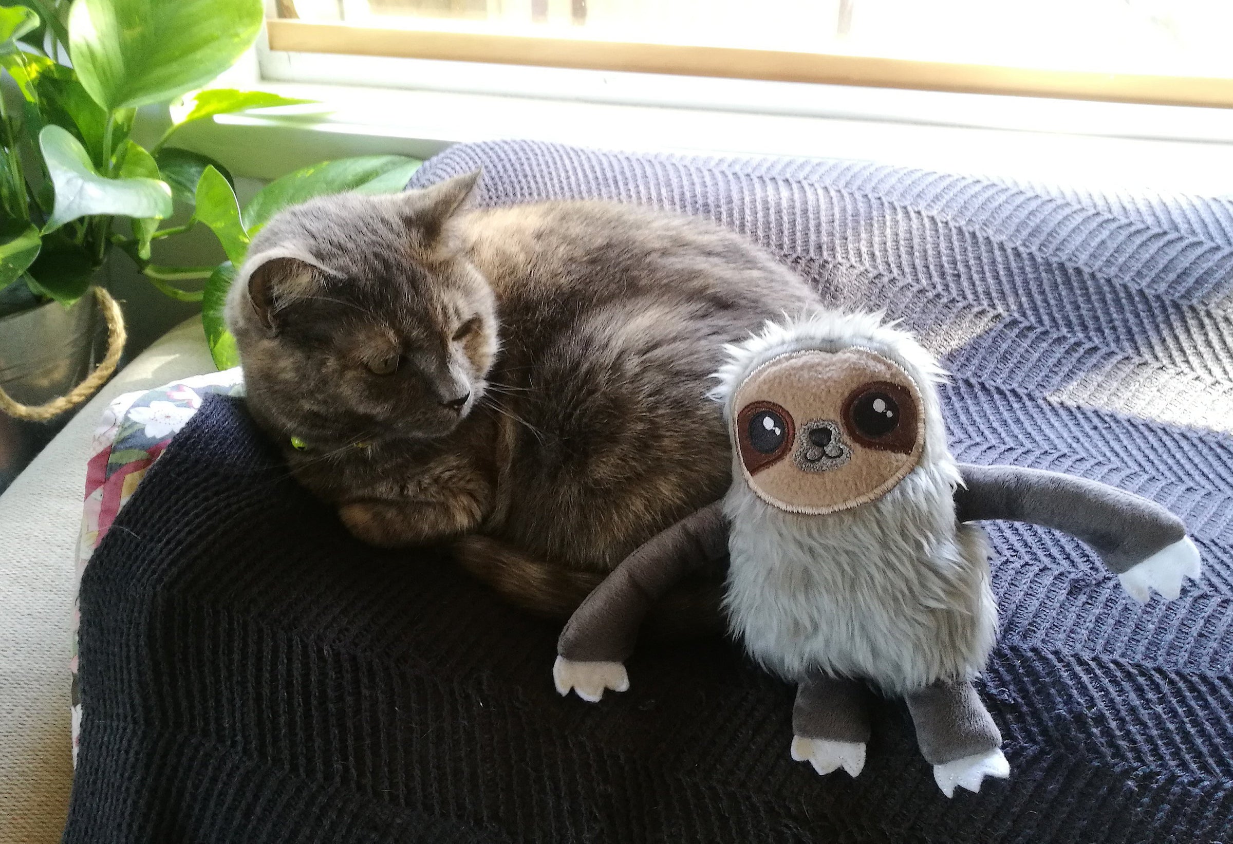 In The Hoop Embroidery - Seth the Sloth Stuffed Toy